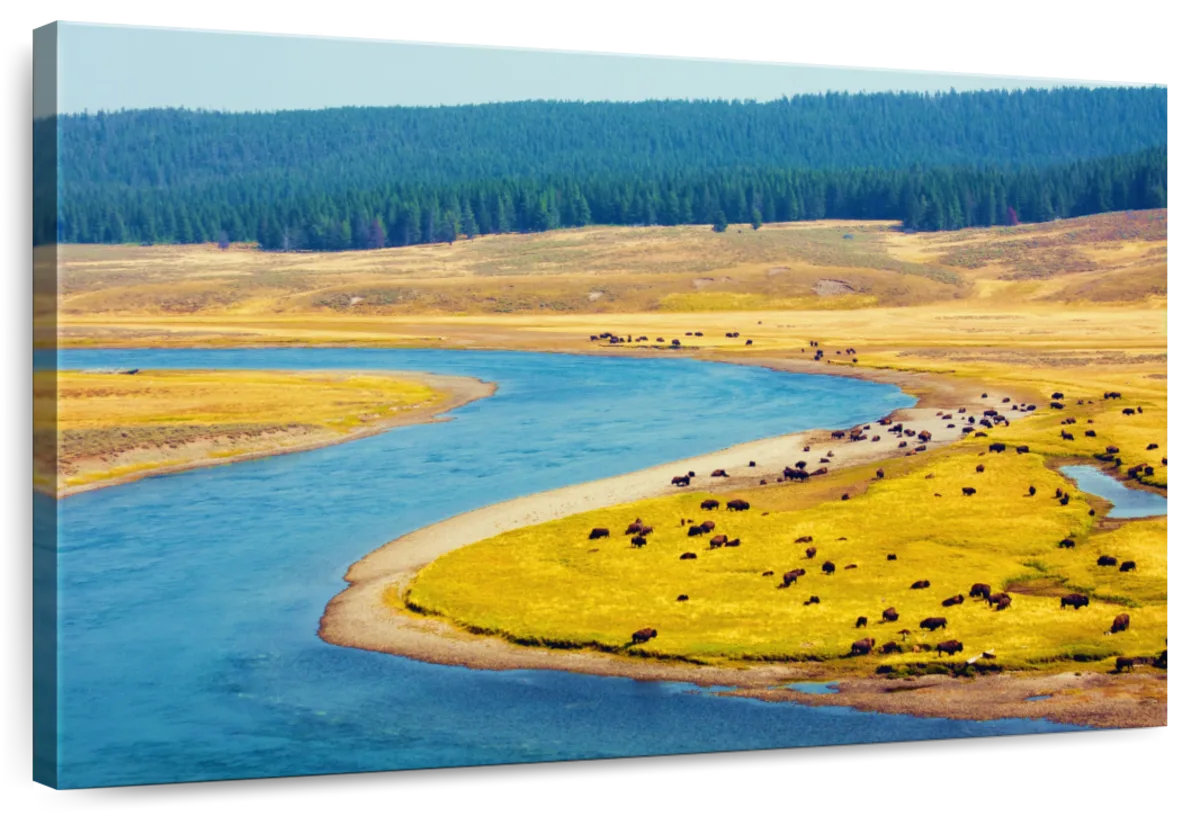 Millwood Pines Alvord Yellowstone Bison River - Wayfair Canada