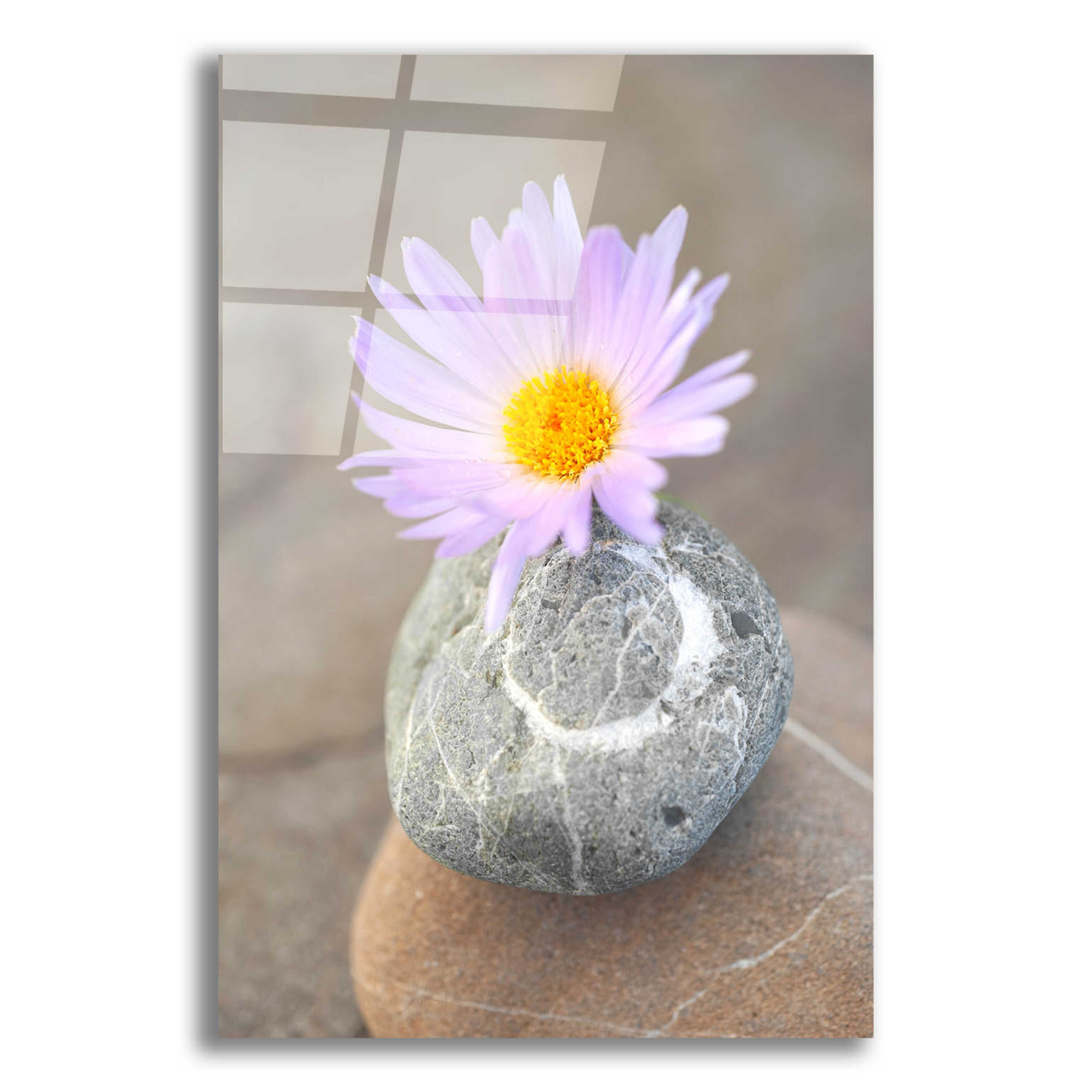 Latitude Run® ''Zen Flower Meditation'' By Elena Ray, Acrylic Glass ...