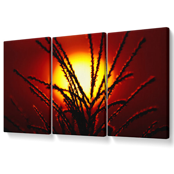 Ebern Designs As The Sun Lights Up The Reeds - 3 Piece Wrapped Canvas ...