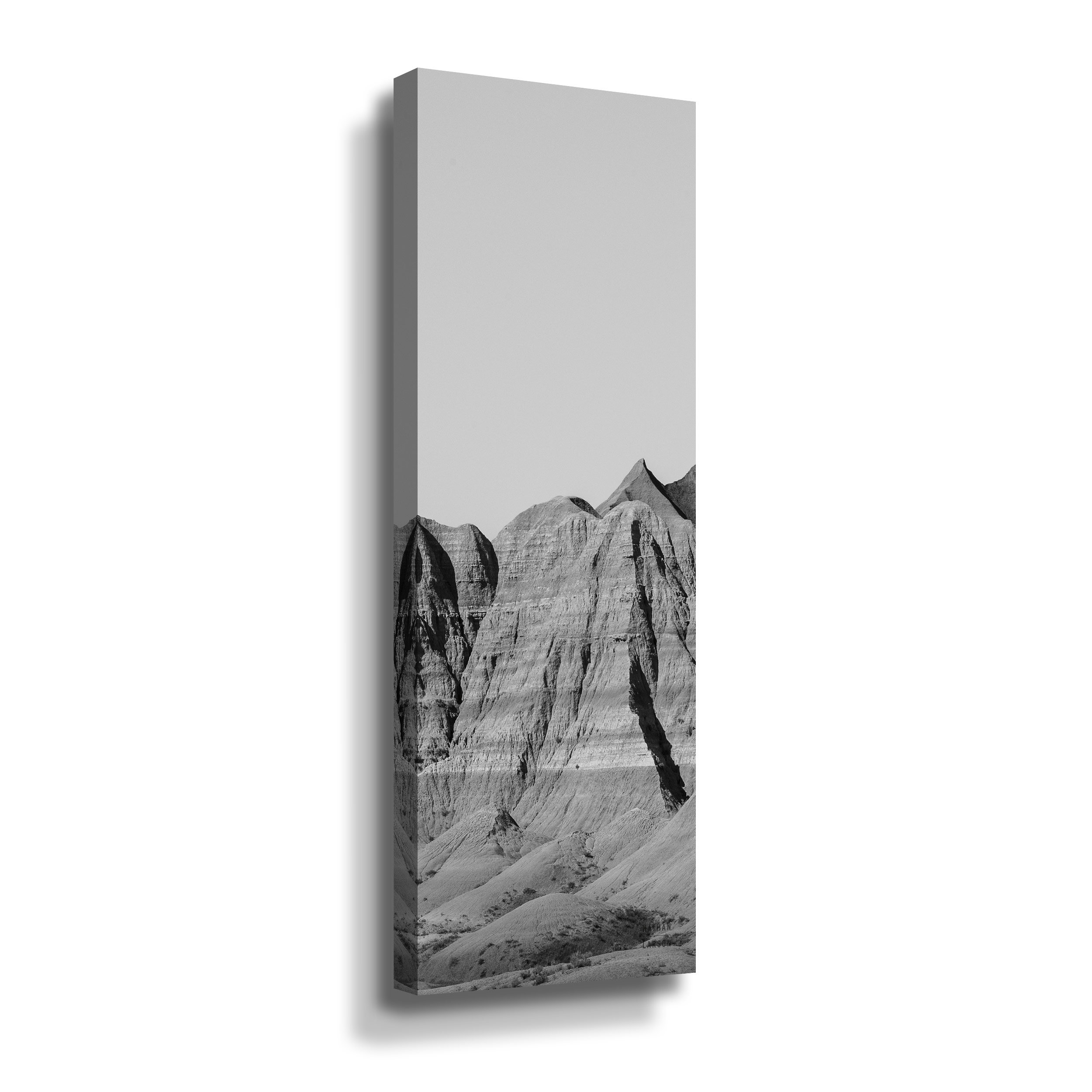 Millwood Pines Fegley Badlands BW Panel II - Print on Canvas | Wayfair