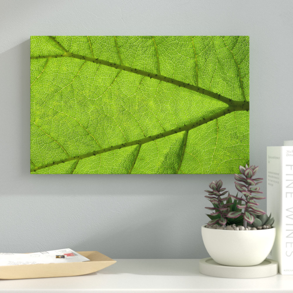 Ebern Designs 'Leaf Texture IV' Photographic Print on Wrapped Canvas ...