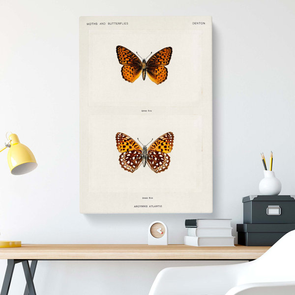 East Urban Home Atlantis Fritillary Butterfly by S.F. Denton - Wrapped ...