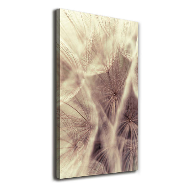Ebern Designs Pusteblume - Kunstdrucke auf Leinwand | Wayfair.de