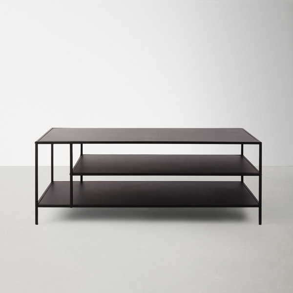AllModern Level Coffee Table with Storage & Reviews | AllModern