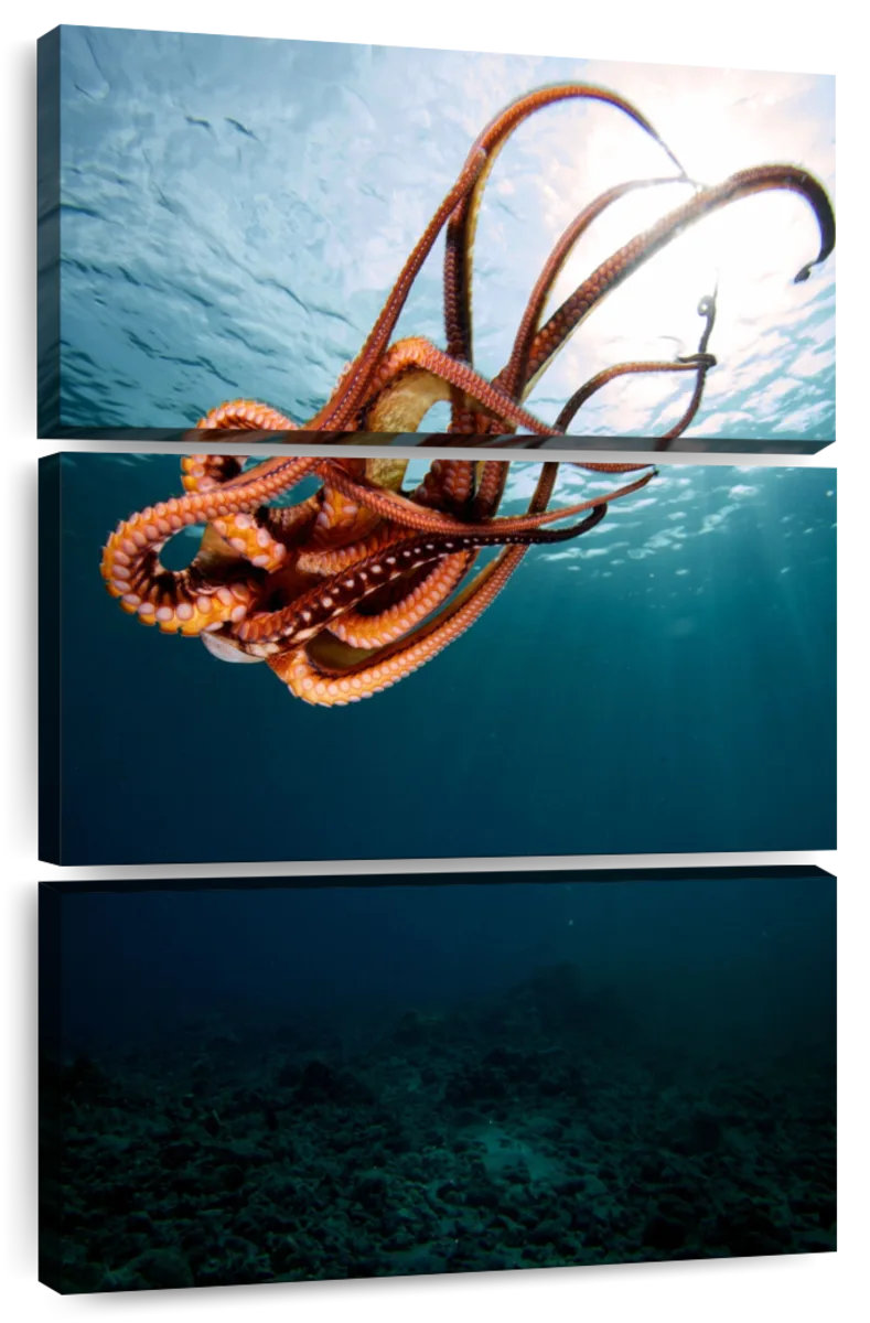 Ebern Designs Brampt Diving Octopus | Wayfair