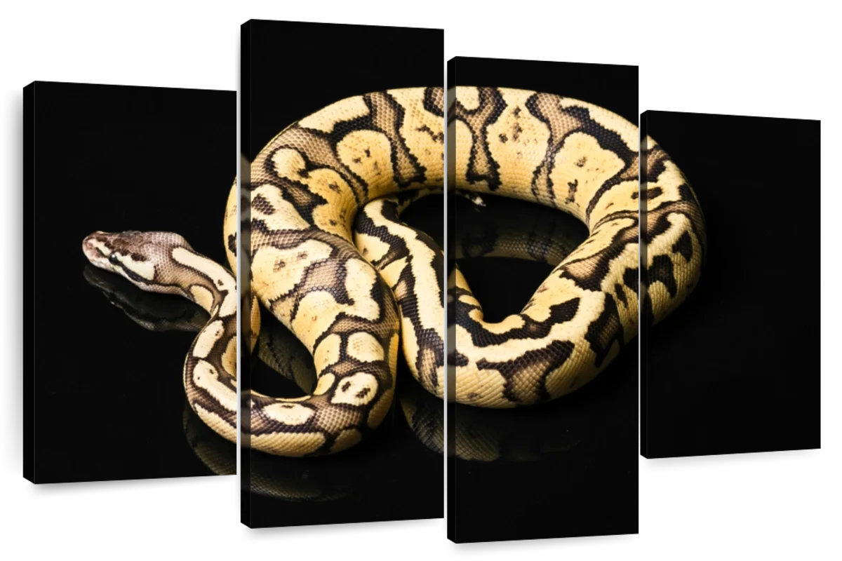 Ebern Designs Brampt Female Python Snake | Wayfair