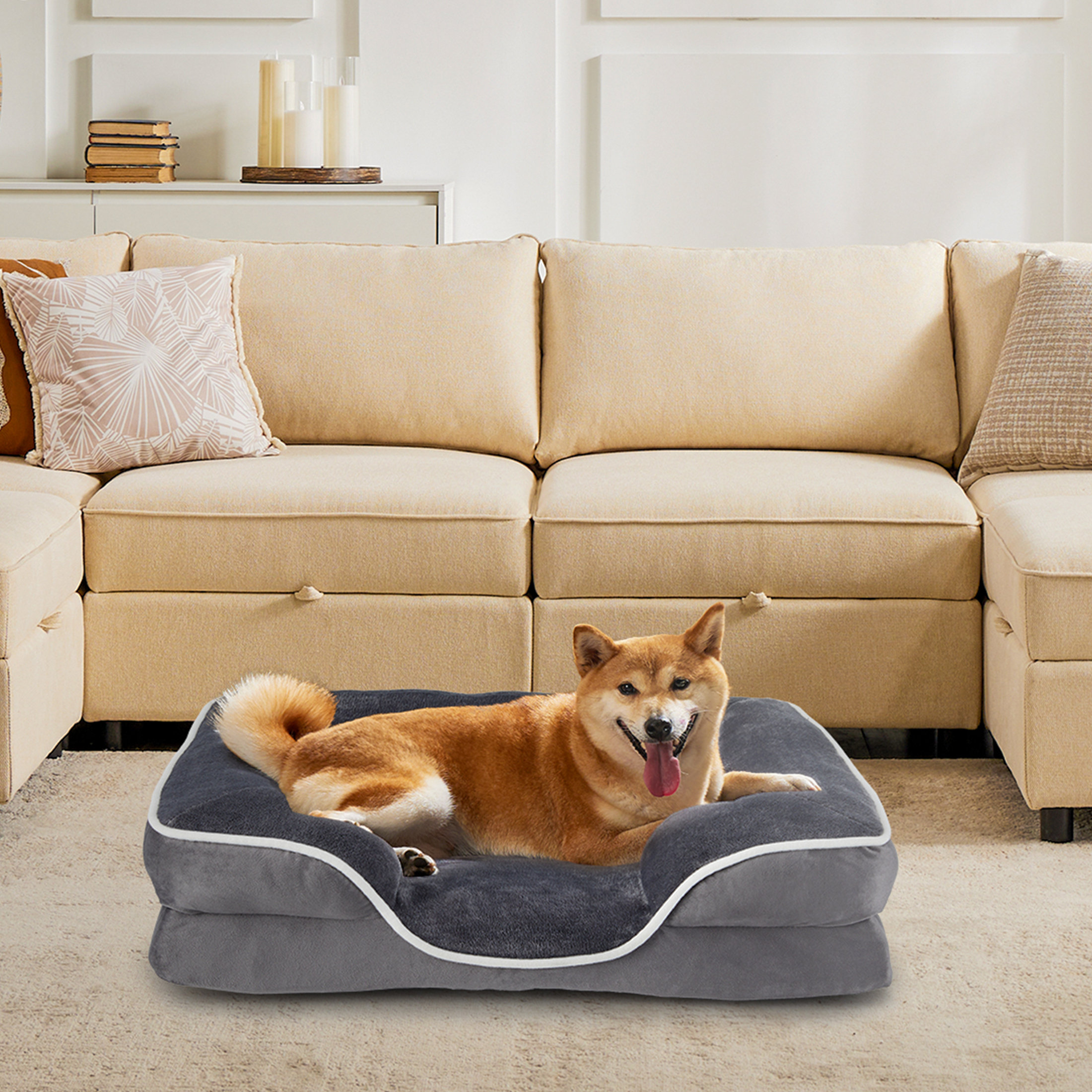 Archie & Oscar™ Memory Foam Small Pet Bed - Washable Cover, Non-Slip ...