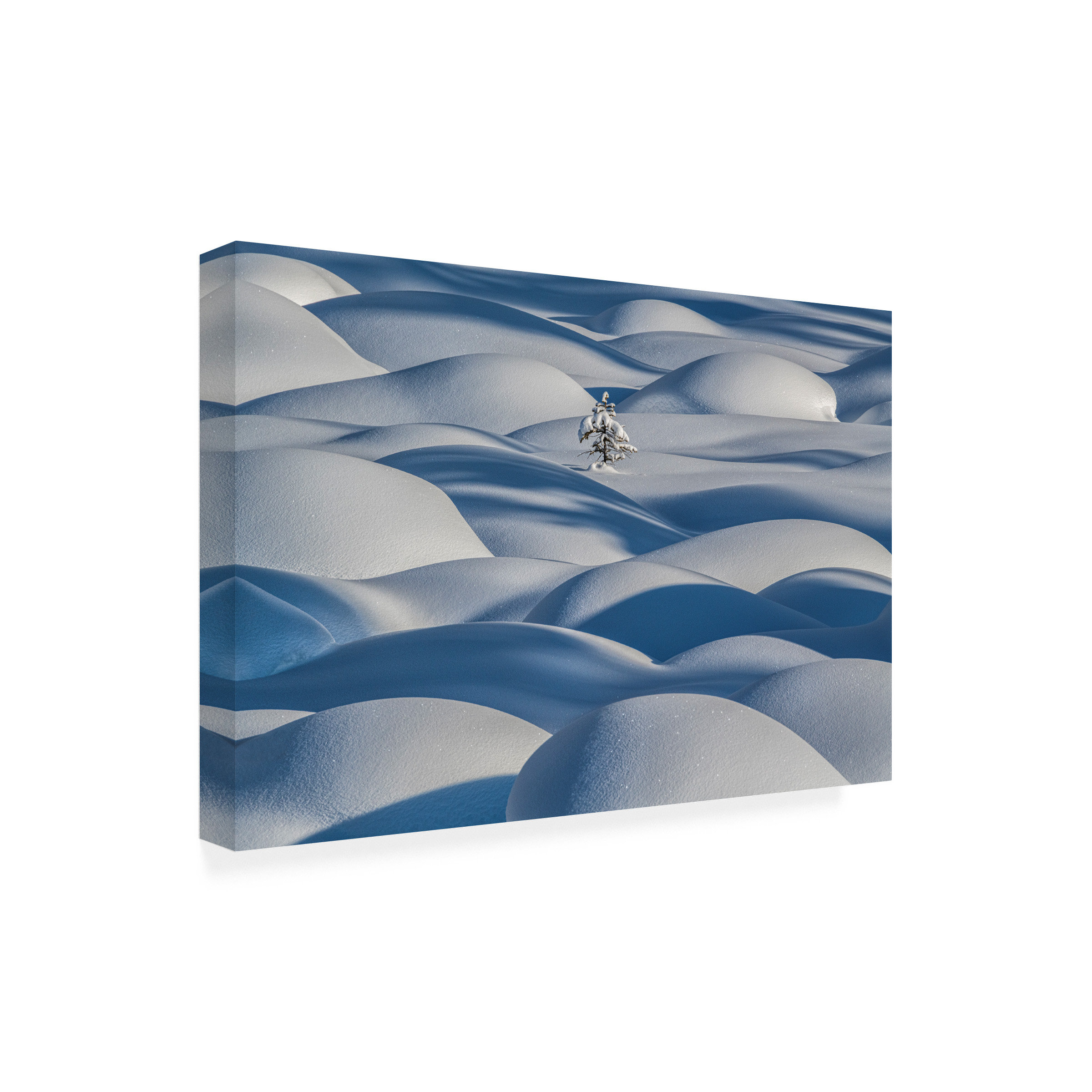 Ebern Designs James S. Chia Standing Strong Canvas Art | Wayfair
