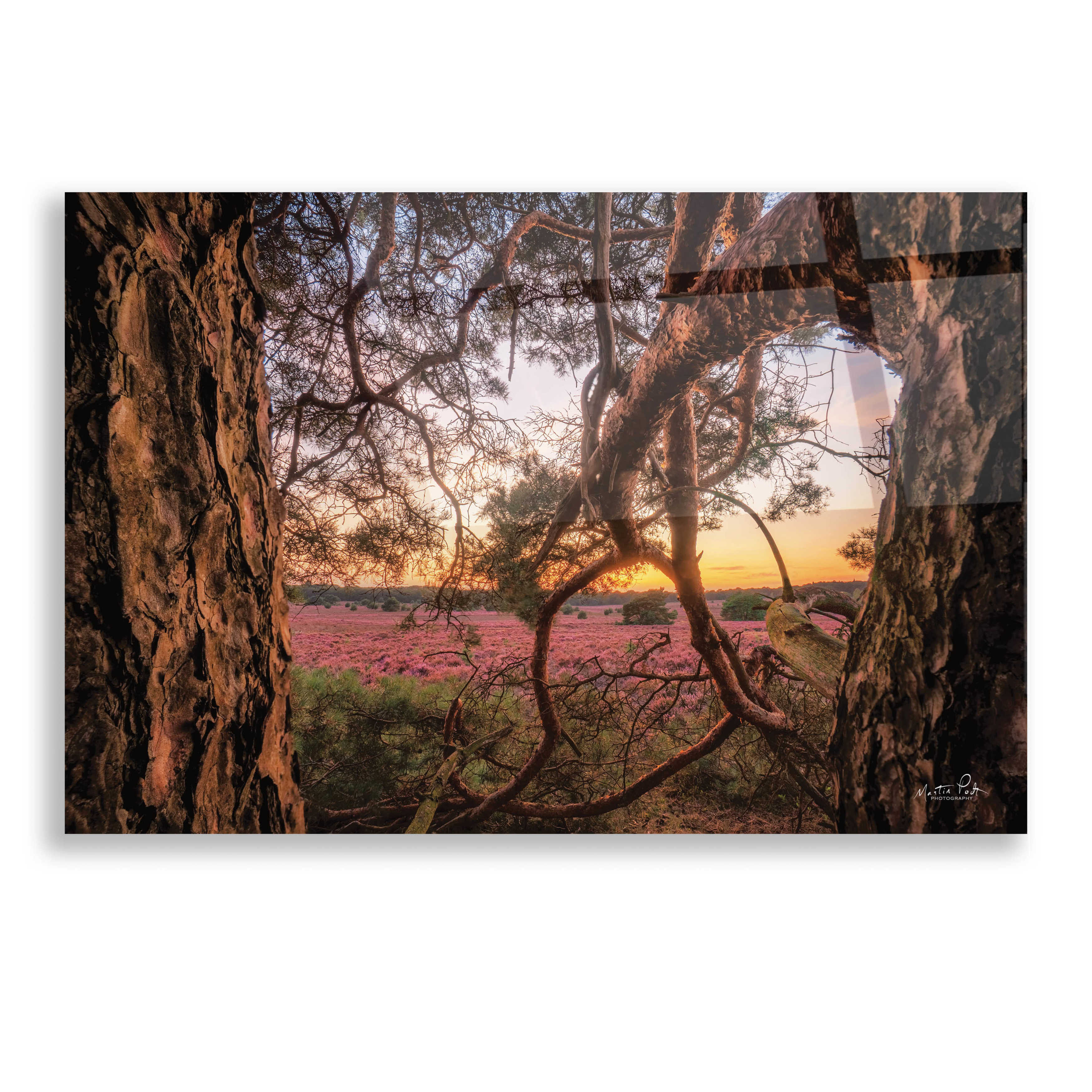 Millwood Pines Epic Art 'In Between' By Martin Podt, Acrylic Glas In ...