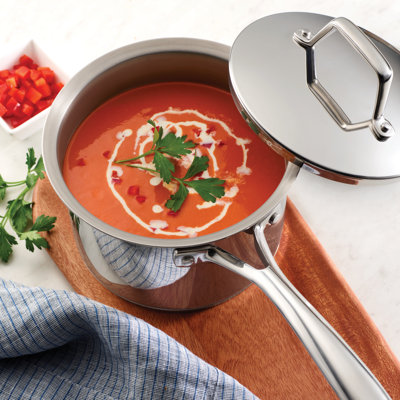 Tramontina Gourmet Prima Saucepan with Lid & Reviews | Wayfair