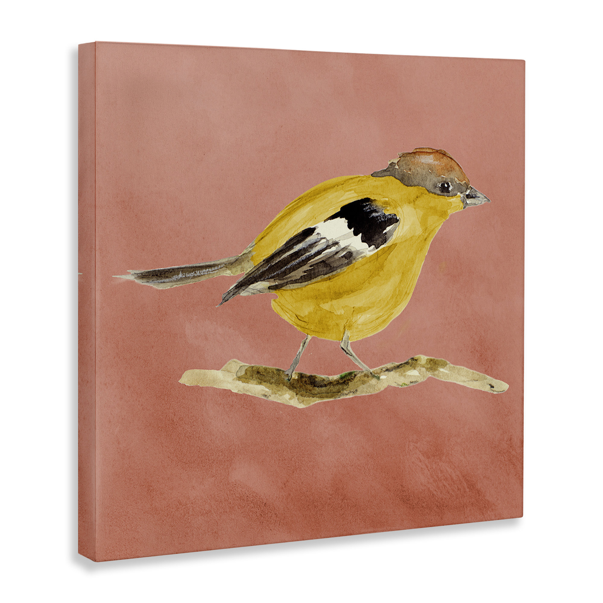 Winston Porter Traditional Wren Bird Canvas Wall Art by Lanie Loreth ...