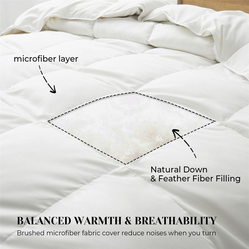 Alwyn Home 600 Fill Power All Season Down Comforter Duvet Insert ...