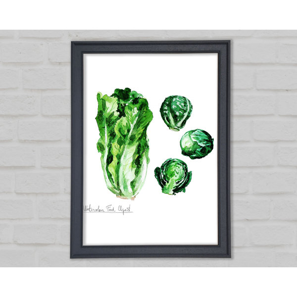 Brambly Cottage Cabbage - Single Picture Frame Art Prints | Wayfair.co.uk
