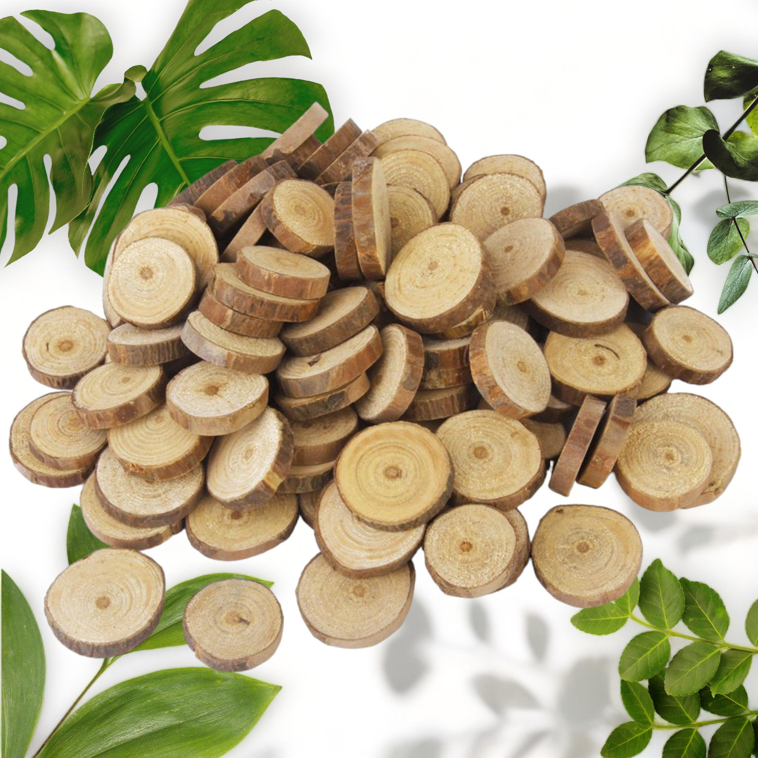 Pacific Funds 100pcs Natural Wood Log Slices for DIY Wedding Decor ...