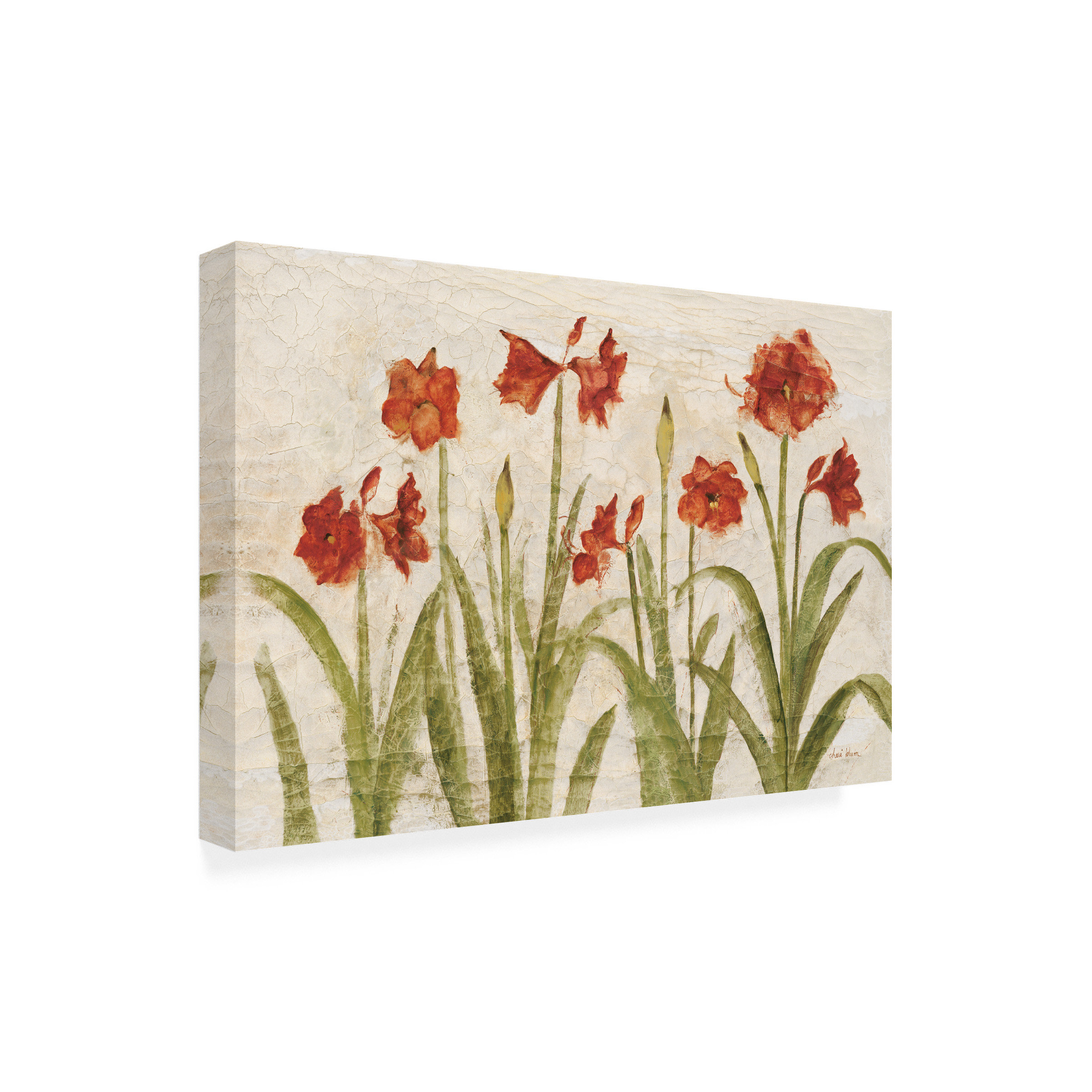 Red Barrel Studio® Cheri Blum ''Row Of Red Amaryllis Light'' Canvas Art ...