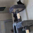 Archie & Oscar™ Timmins 78.3" Multi-Level Cat Tree with Cat Scratching ...