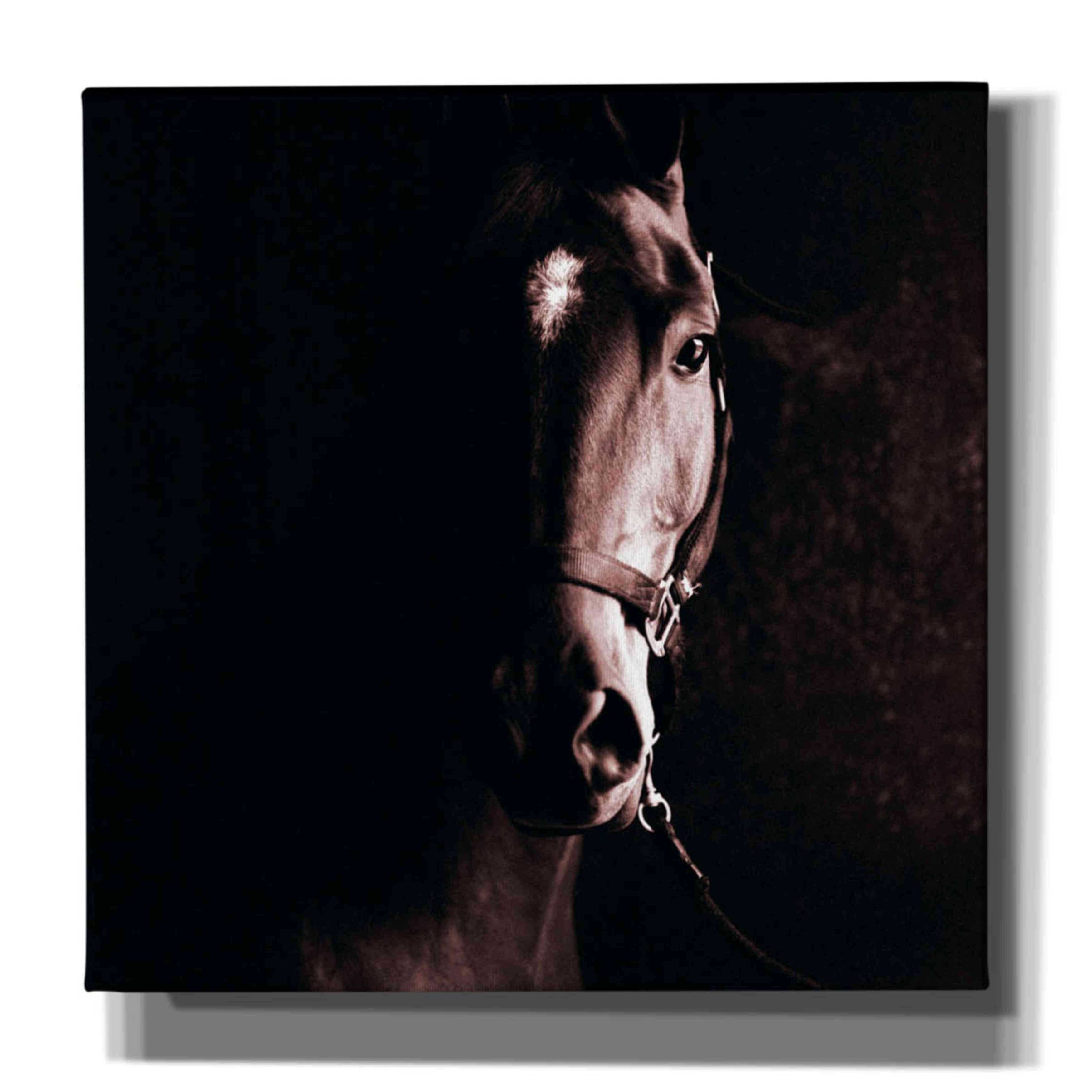 Union Rustic Tevy by Susan Friedman - Wrapped Canvas Print | Wayfair