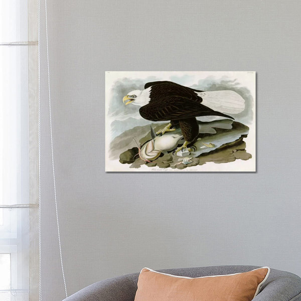 Alpen Home White-headed Eagle by John James Audubon - Wrapped Canvas ...