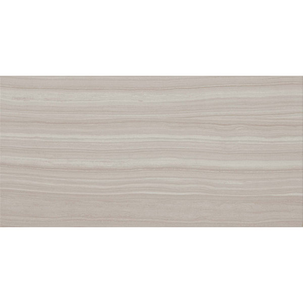 Bedrosians Matita 12" x 24" Porcelain Field Tile & Reviews | Wayfair