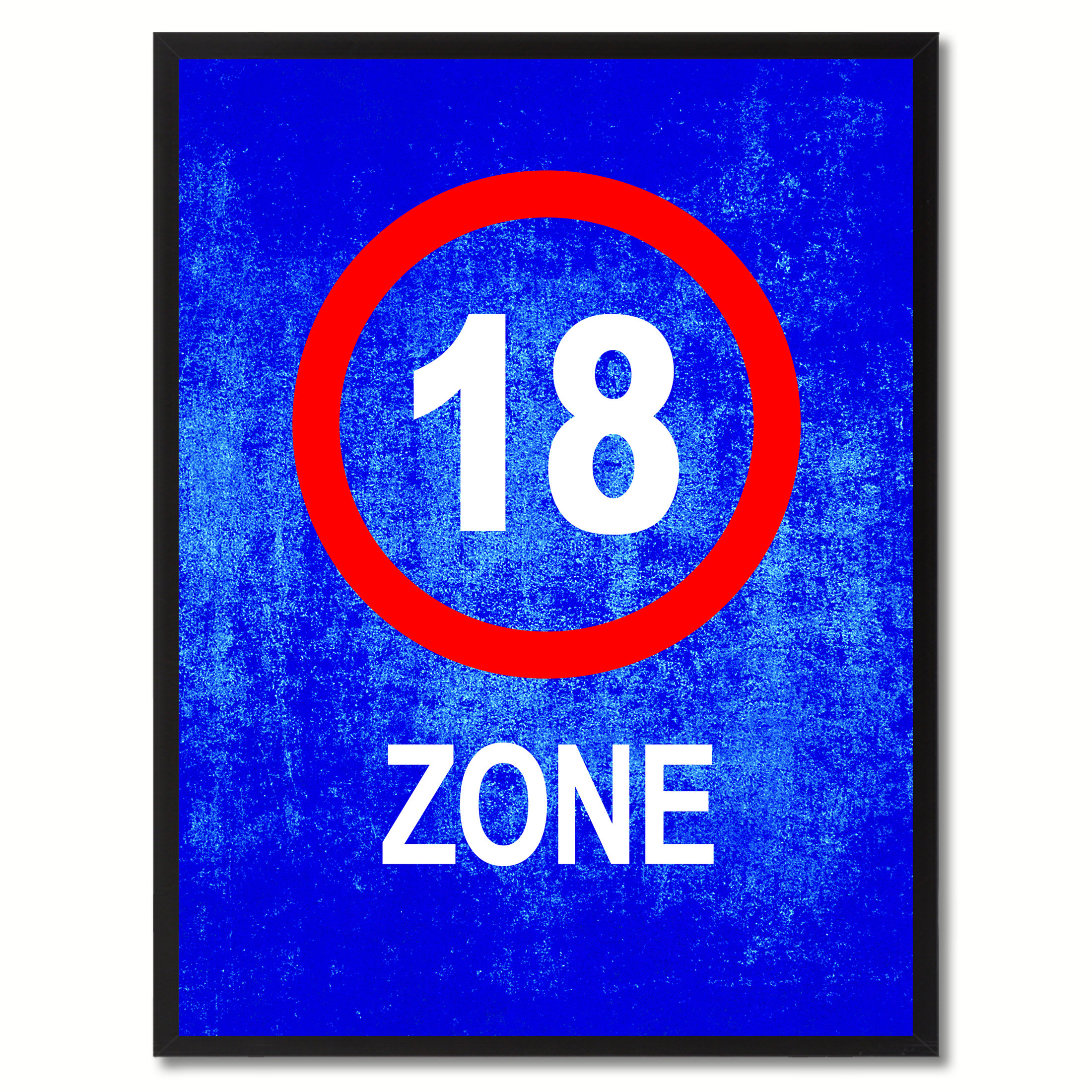 Trinx 18 Zone Sign Blue Print on Canvas with Picture Frame, 28x37 | Wayfair