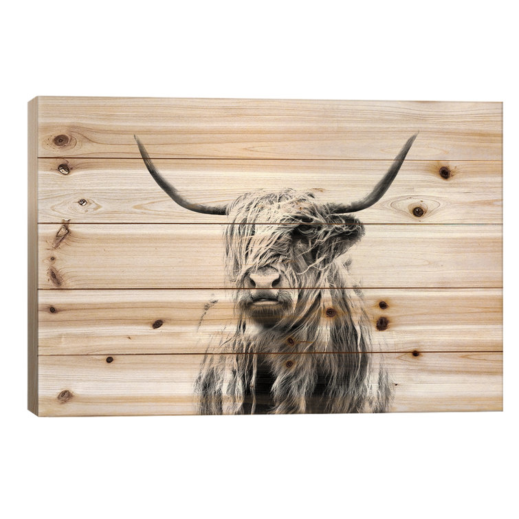 Union Rustic Portrait Of A Highland Cow On Wood by Dorit Fuhg Print ...