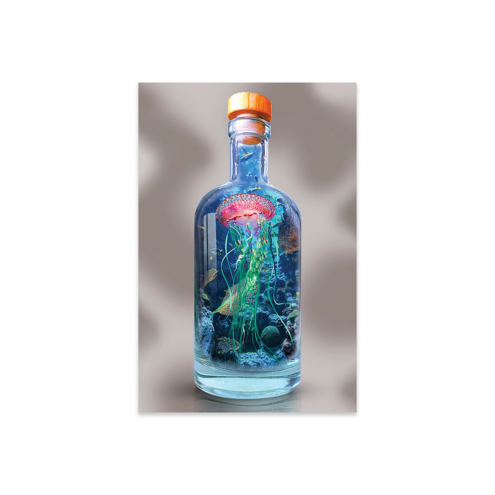 Dovecove Jellyfish in a Bottle by David Loblaw - Unframed Graphic Art ...