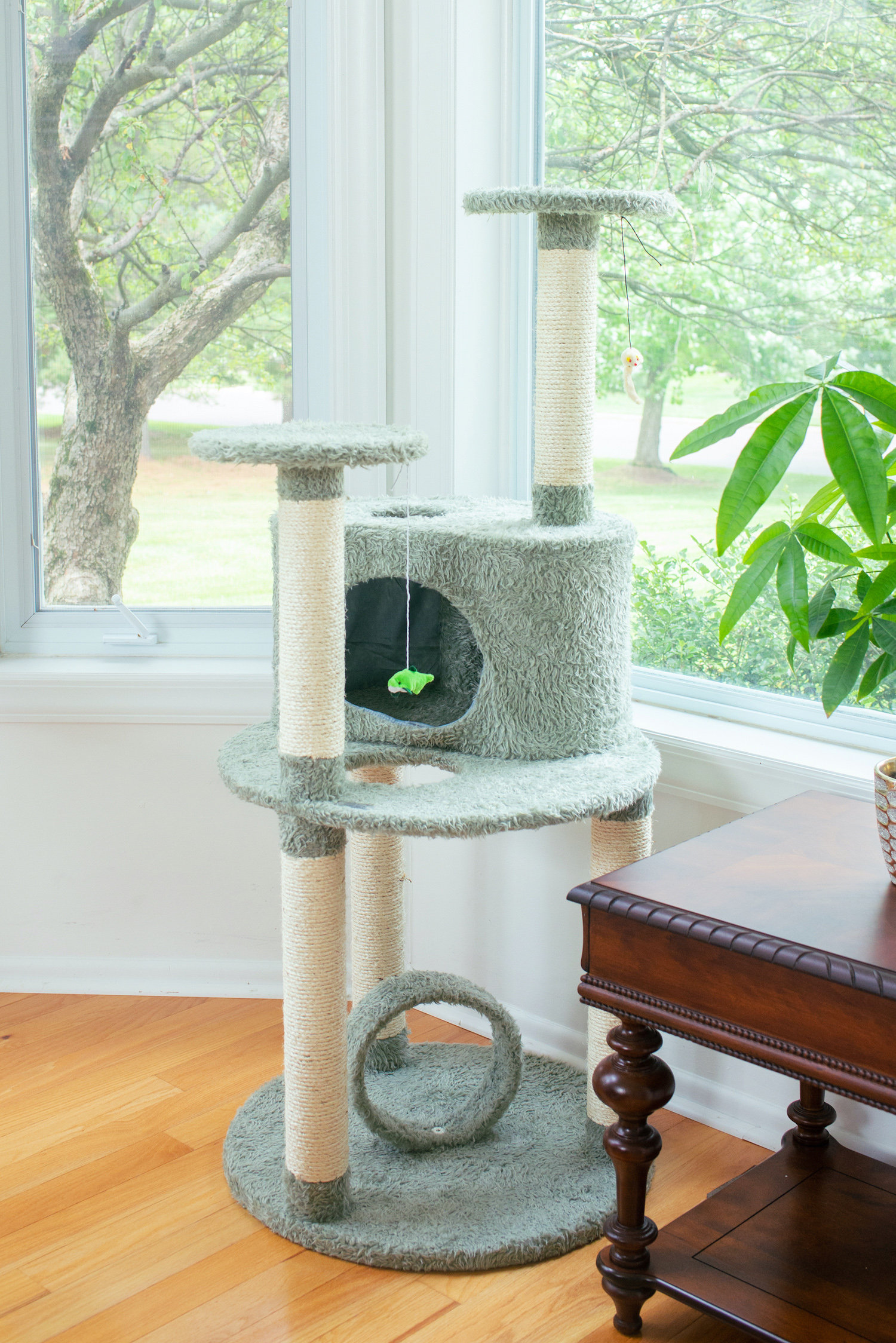 Armarkat 60" Premium Real Wood Cat Tree & Reviews | Wayfair
