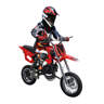 Trent Austin Design® 49cc 2-Stroke Kids Dirt Bike, Gas Power Motocross ...