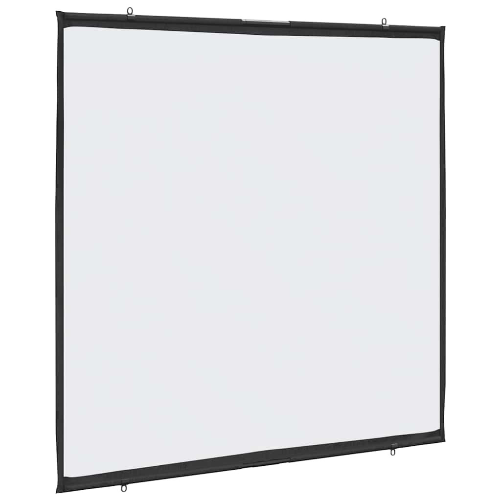 Vidaxl Projection Screen Wall-Hanging 1:1 | Wayfair