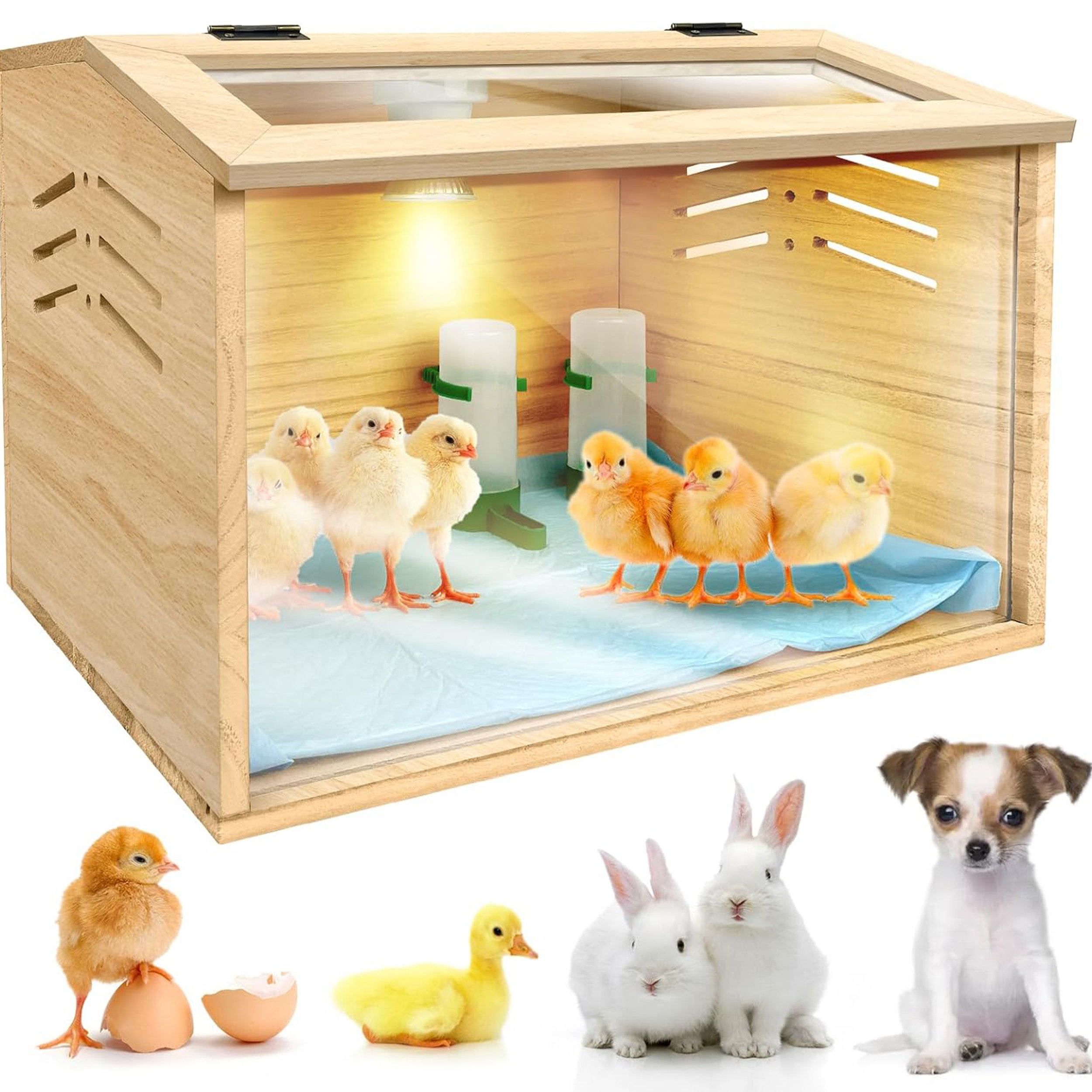 Latitude Run® Chicken brooder Box,Quail cage,Measures 15.7 X 12 X 12 ...