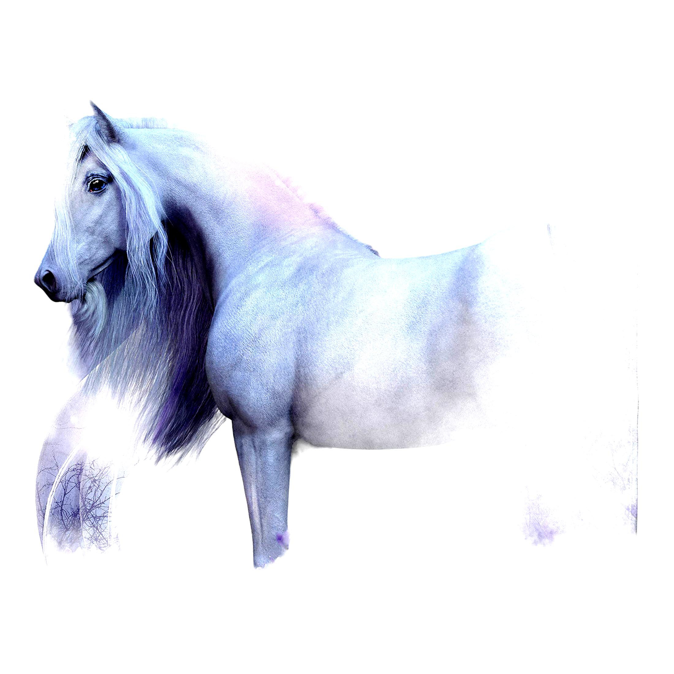 BRBCA Enchanted Dreams Silk Touch Fantasy Blanket - Ultra Soft Plush ...