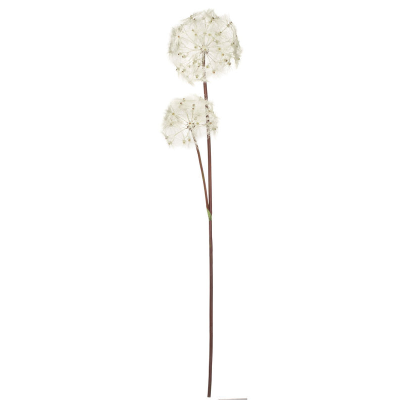 Freeport Park® Kanode Dandelion Stem & Reviews | Wayfair