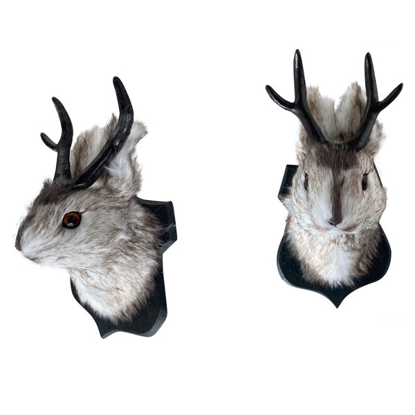 jackalope mount