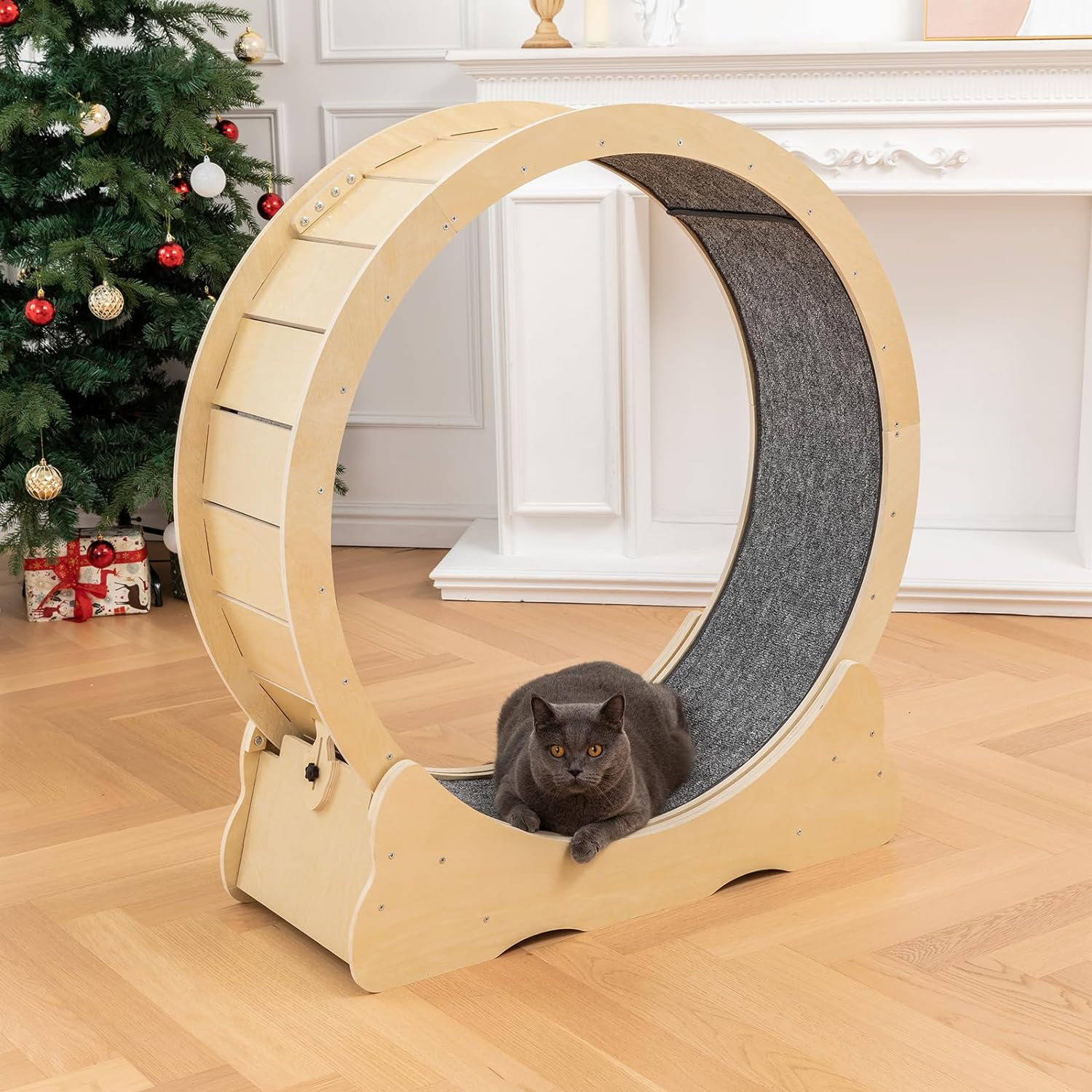 Tucker Murphy Pet™ Roue d'exercice pour chat, grande roue pour chats d ...