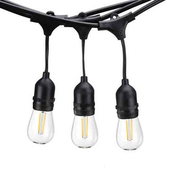 Williston Forge Abrego Outdoor 24 - Bulb 48'' Plug-in String Light ...