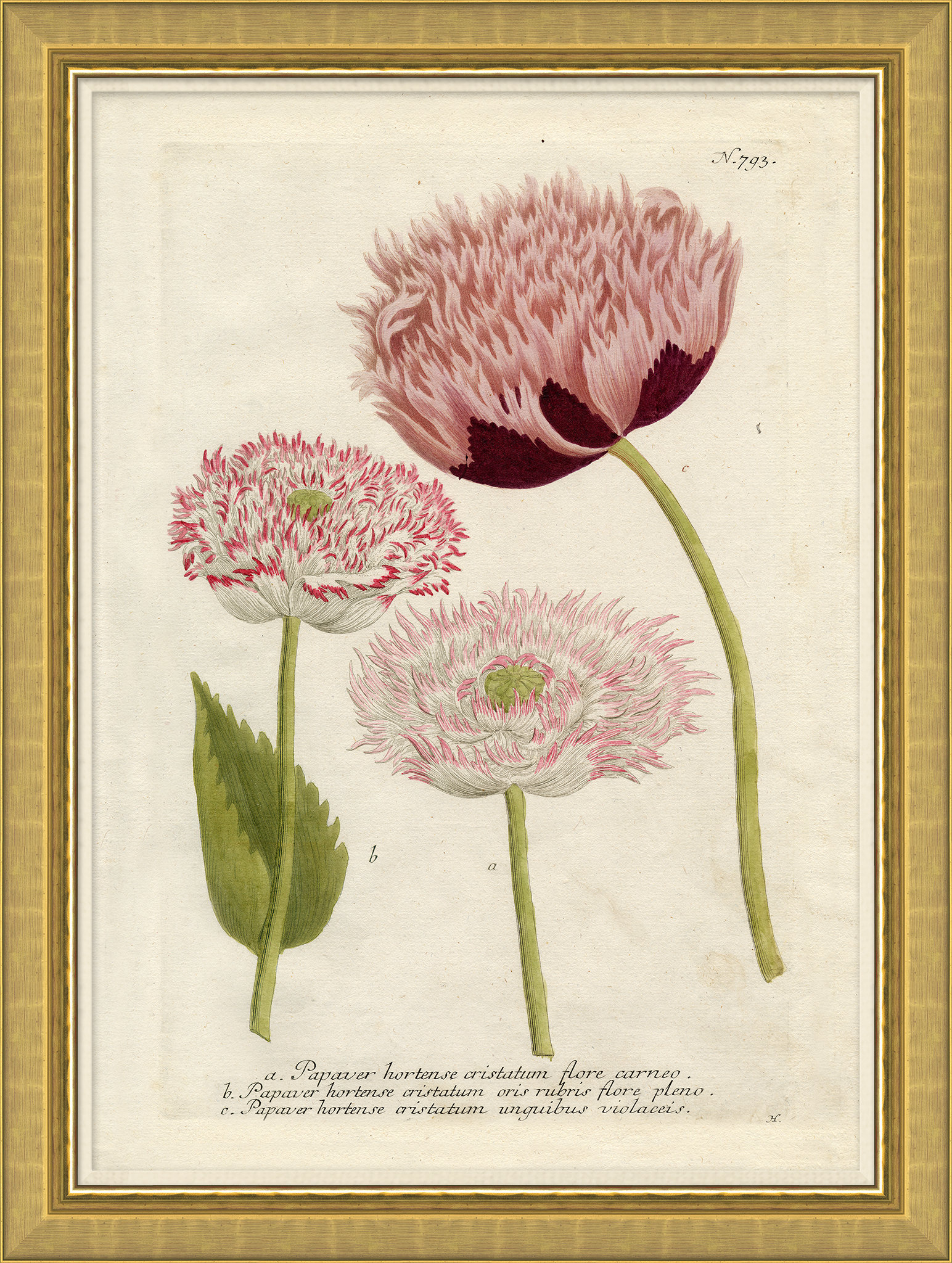 Soicher Marin 'Flora in Pink 3' - Picture Frame Painting on Paper | Wayfair