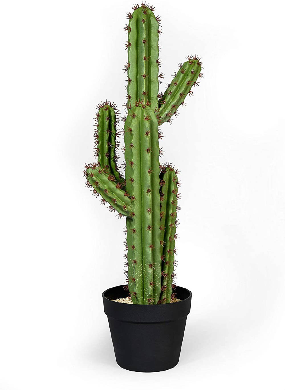 Primrue 215 Artificial Cactus Plant In Pot And Reviews Wayfair