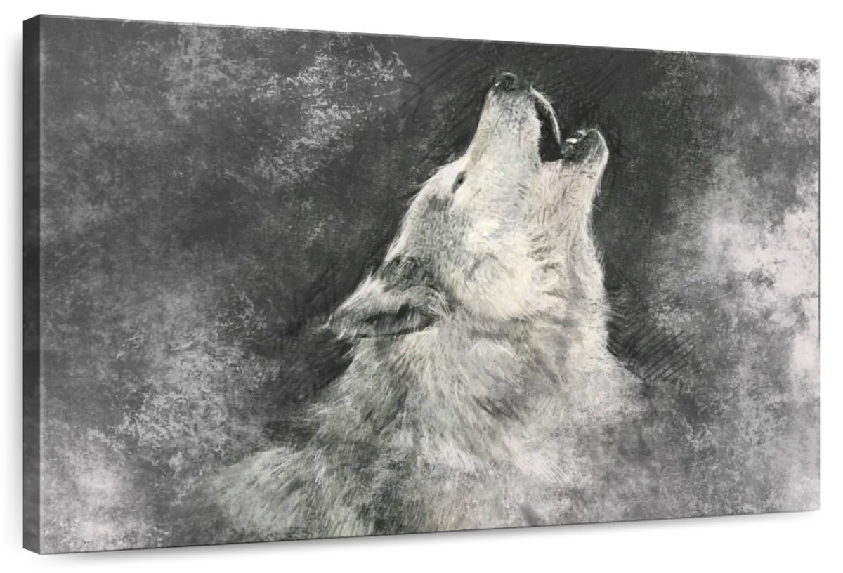 Latitude Run® Howling Wolf BW | Wayfair