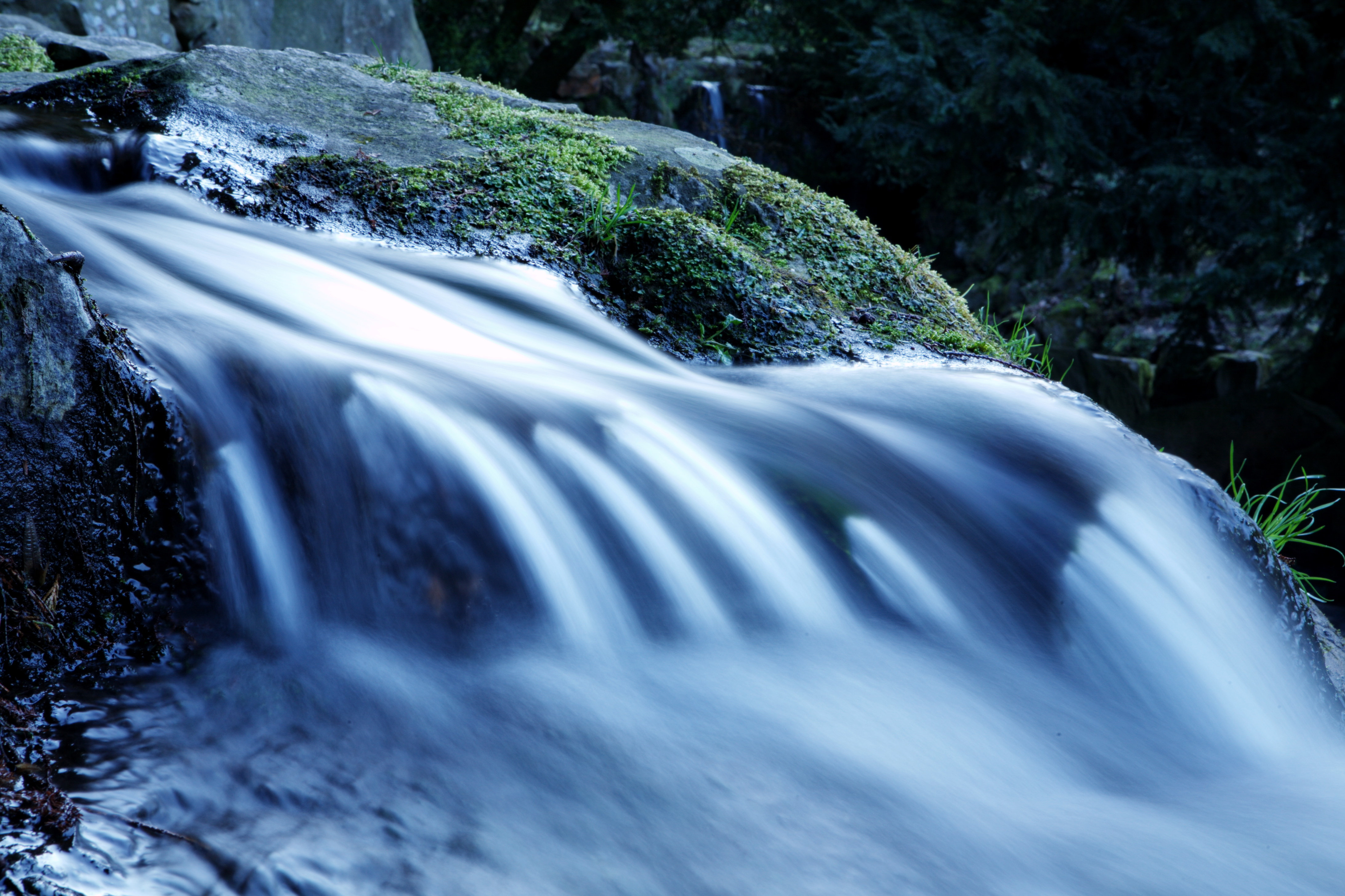 Millwood Pines Water Stream - Wrapped Canvas Photograph | Wayfair
