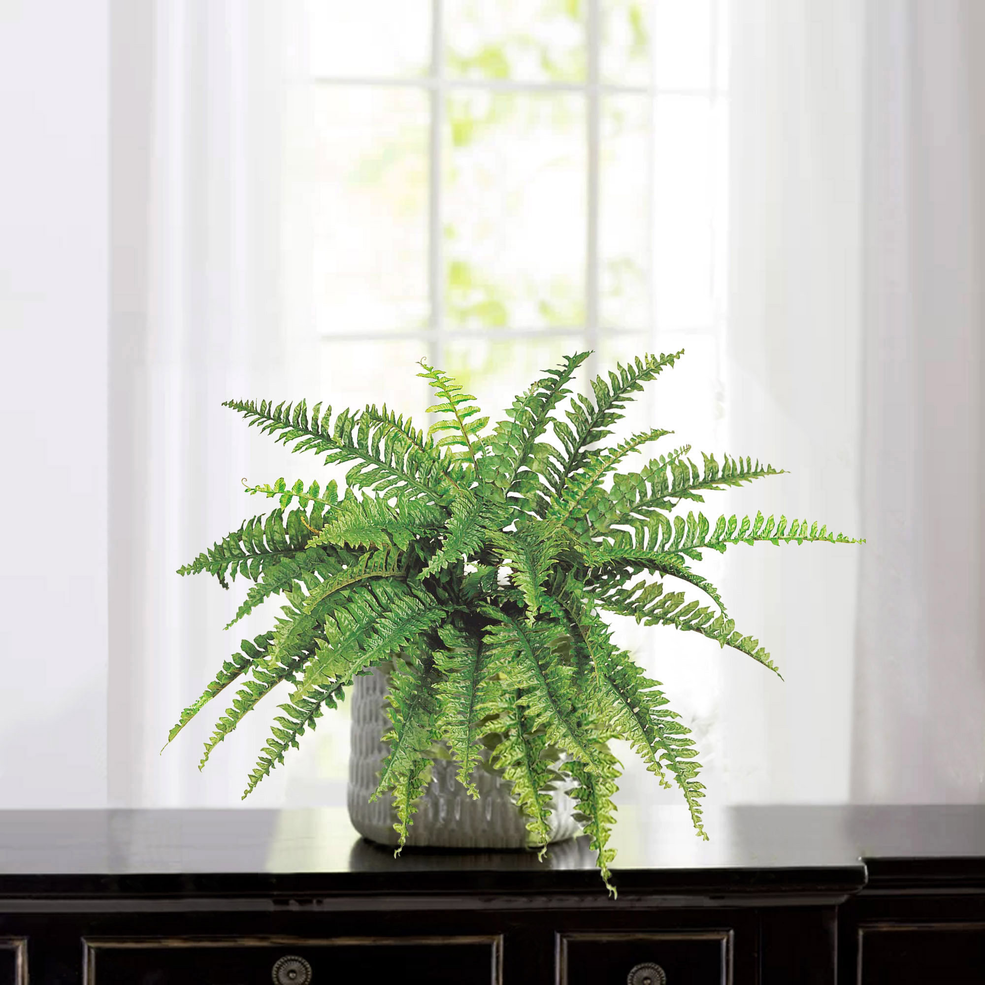 The Holiday Aisle® Ultra-Realistic 42-Frond Boston Fern Plan & Reviews ...