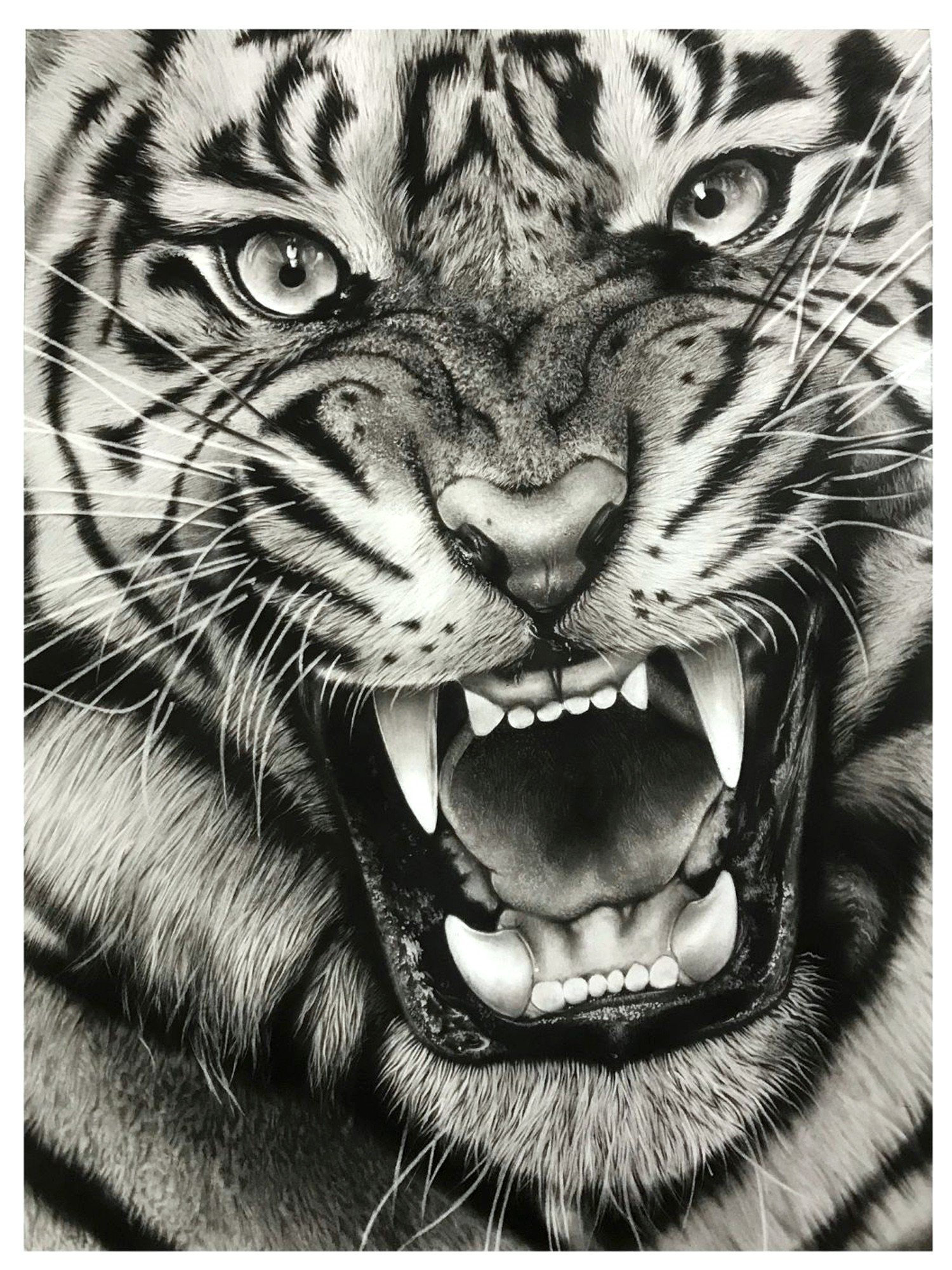 Exotic India Roaring Tiger | Charcoal Painting | Gunjan Daga | For Wall ...