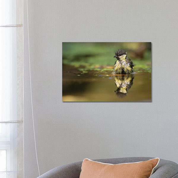 Alpen Home At The Mirror By Marco Pozzi - Wrapped Canvas Photograph by ...