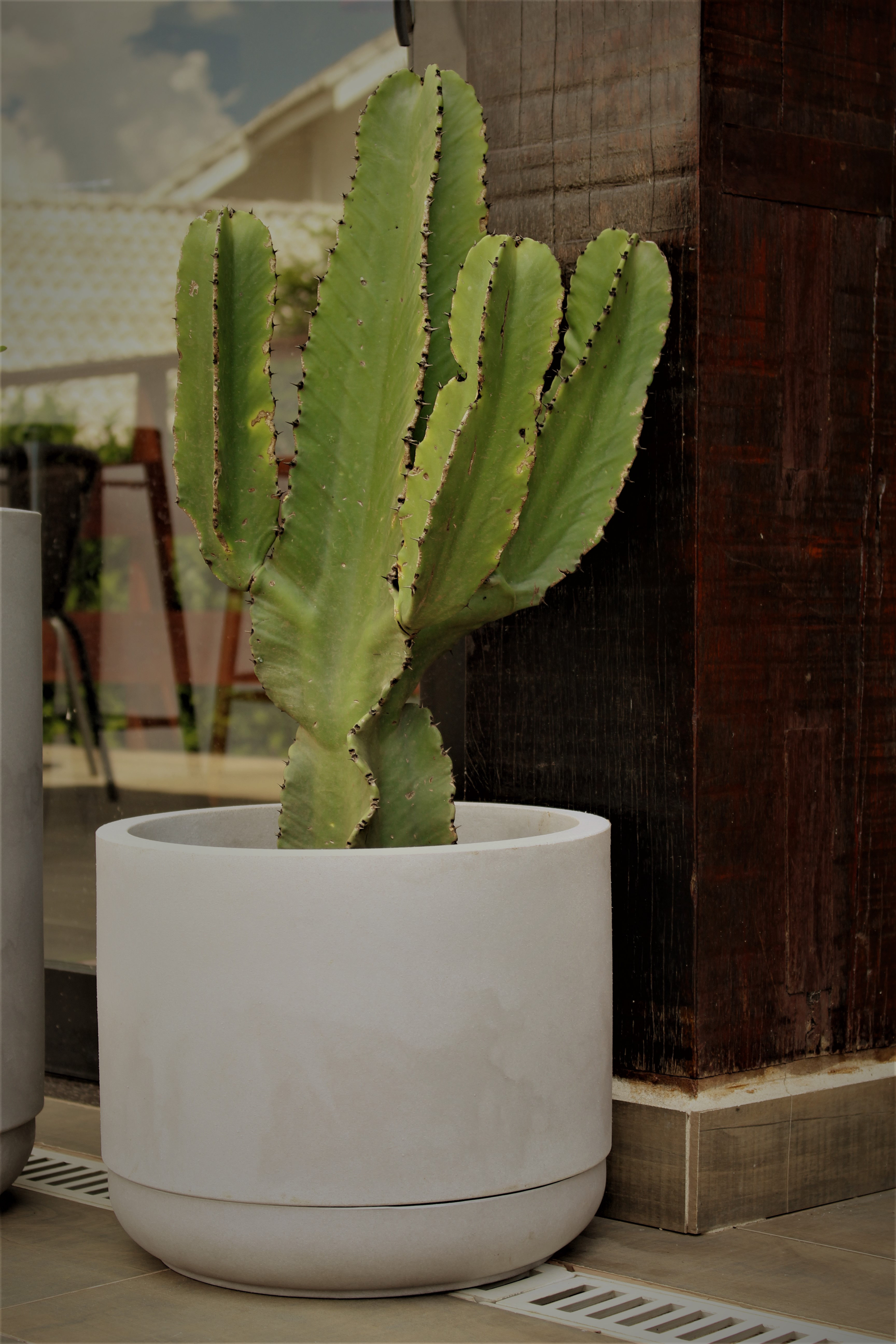 Japi Pottery Plastic Pot Planter | Wayfair