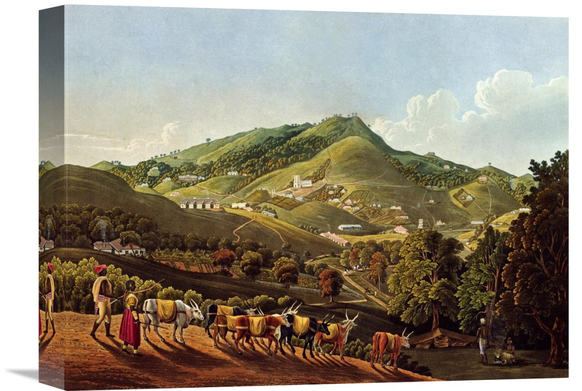 Global Gallery 'Views in India' by Richard Havell Painting Print on ...