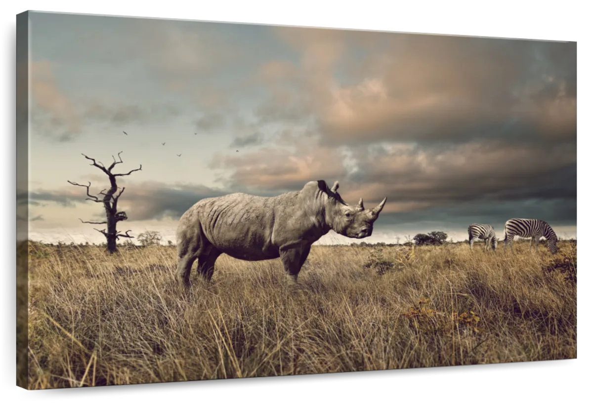 Ebern Designs Crowle Fierce Rhinoceros | Wayfair