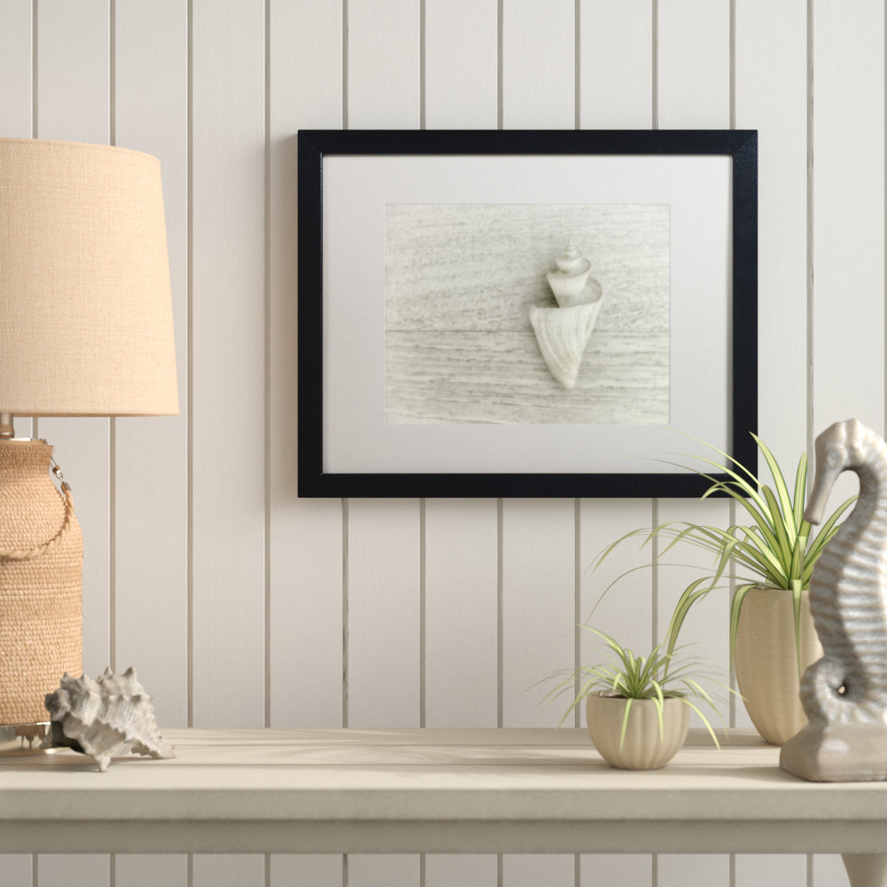 Highland Dunes 'Japanese Wonder Shell' Framed Photographic Print | Wayfair