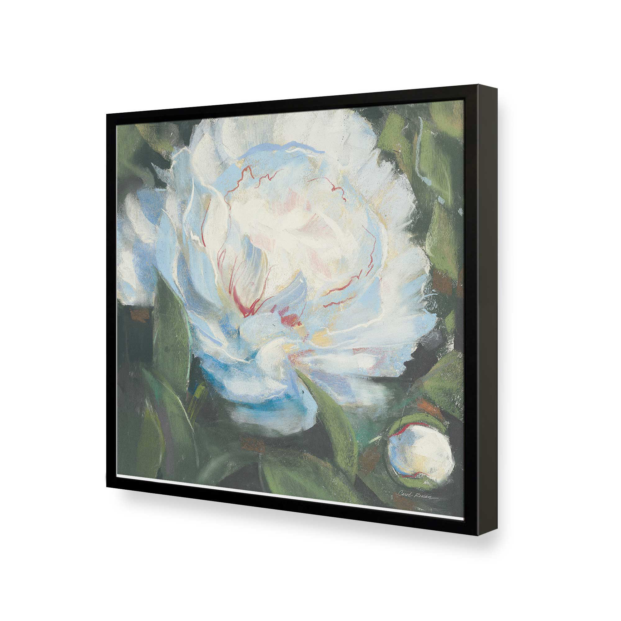 Winston Porter Peony I By Carol Rowan Art Print | Wayfair