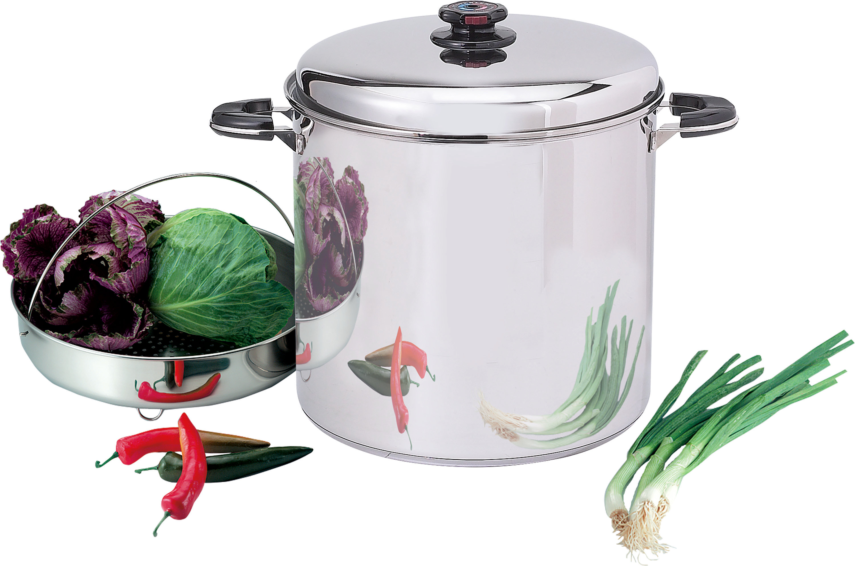 Chef's Secret Precise Heat 30 Quart Stock Pot with Lid | Wayfair
