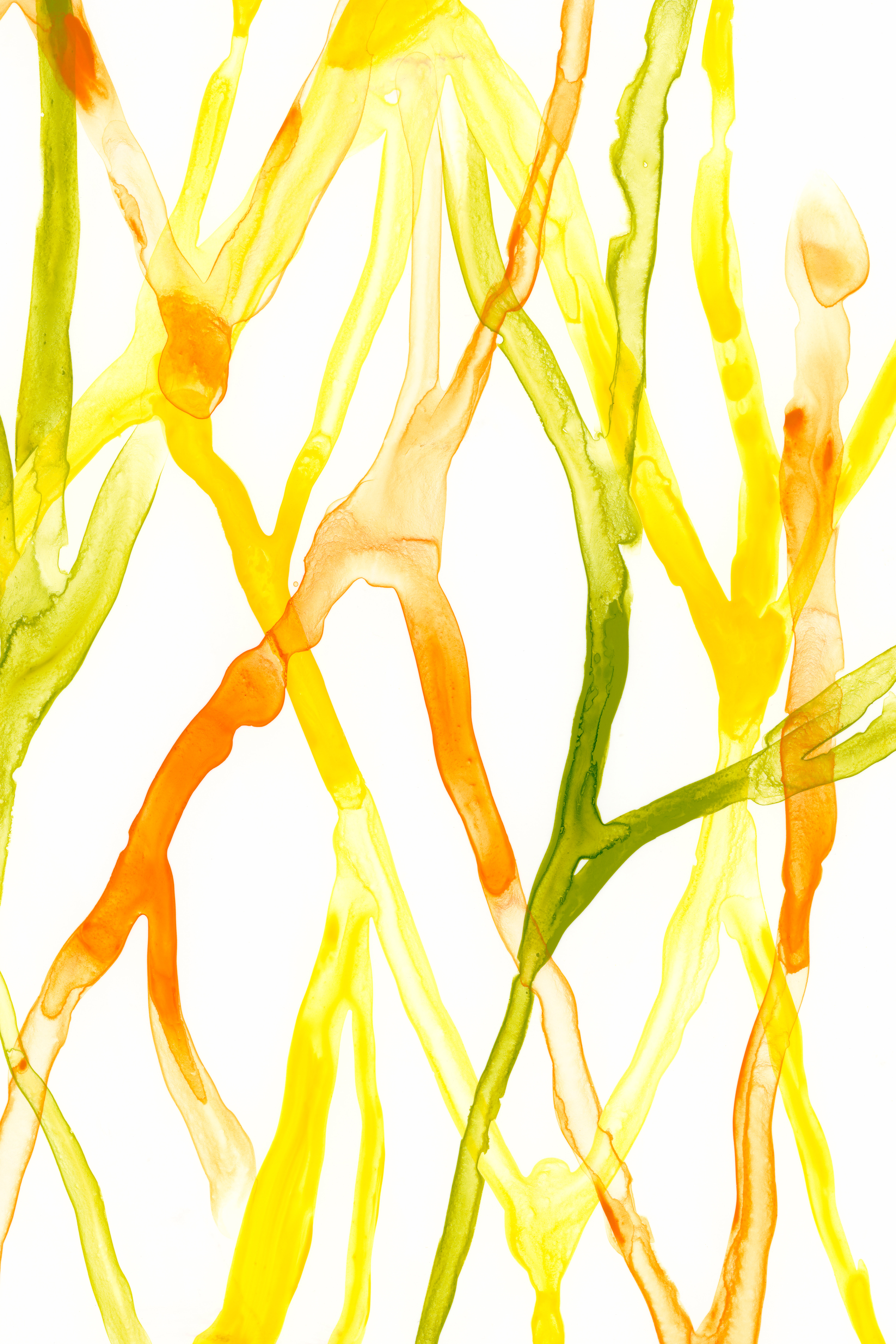 Ivy Bronx Runnel IV by June Erica Vess - Painting | Wayfair.co.uk