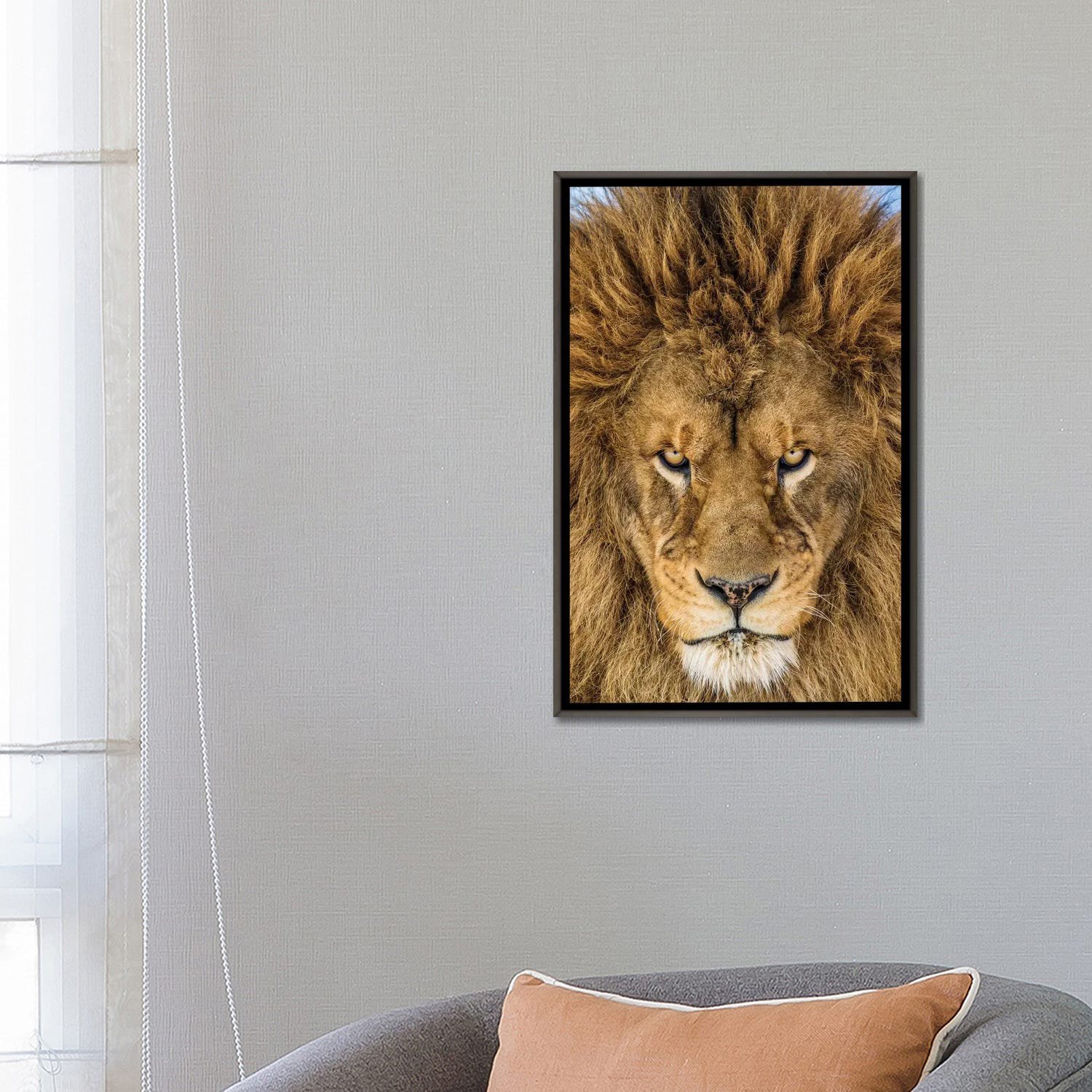 East Urban Home Serious Lion by Mike Centioli - Photograph Print ...